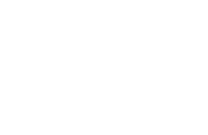 Pikkukala – Original animation and co-productions